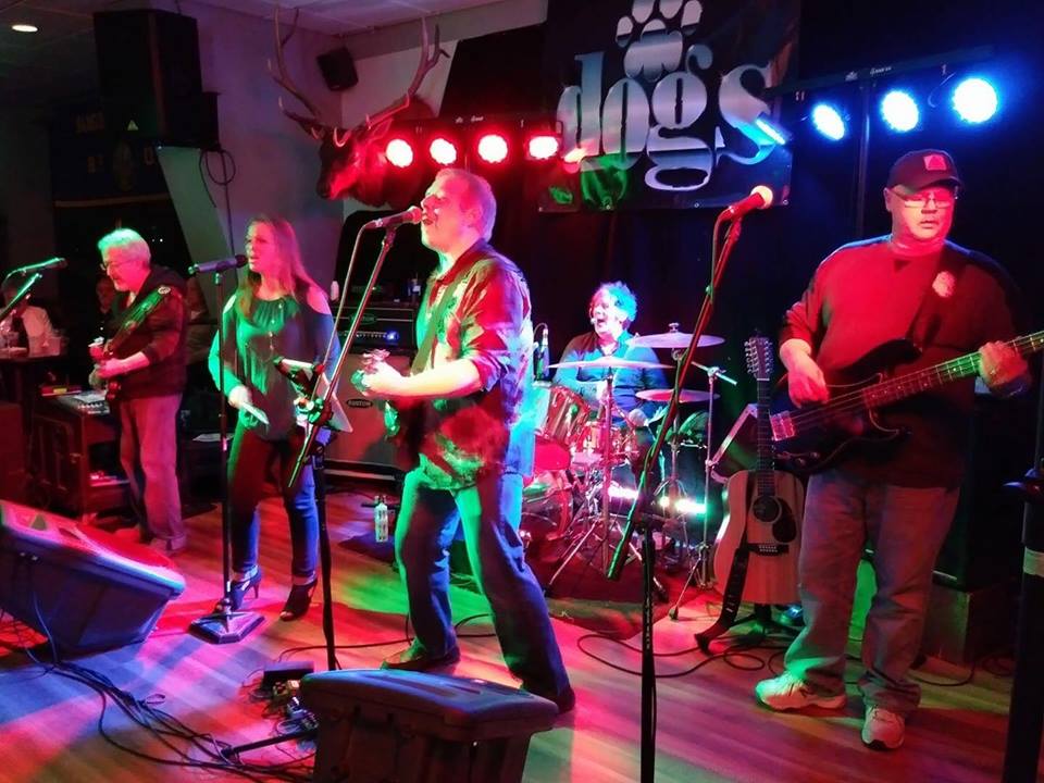 The Dogs - Free Concert- Milbridge Theatre Outdoor Stage ...